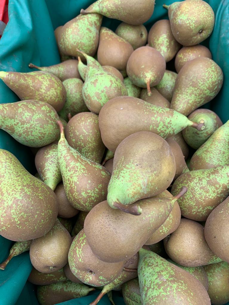 Le pere conference - Agrispesa